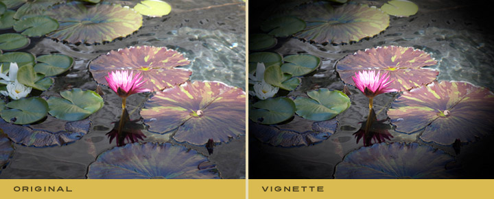 Mister Retro > Photoshop Filters > Retrographer > Special Effects